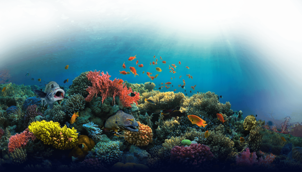 Secrets of the Sea Movie